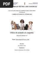 Anatomía del Ojo Canino y Tratamiento | PDF | Glaucoma | Ojo humano