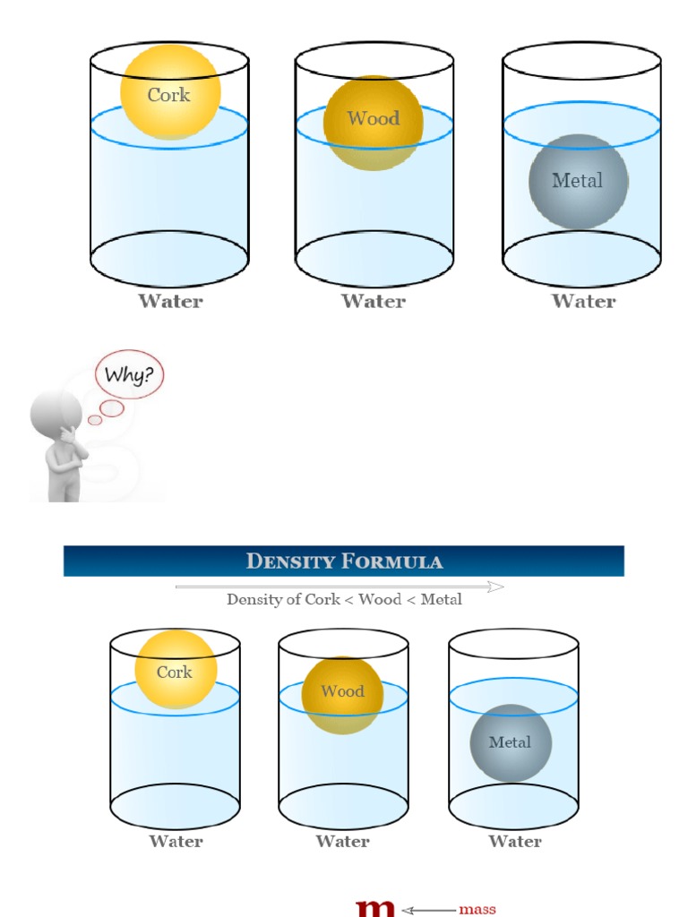 Understanding Density and Calculations | PDF