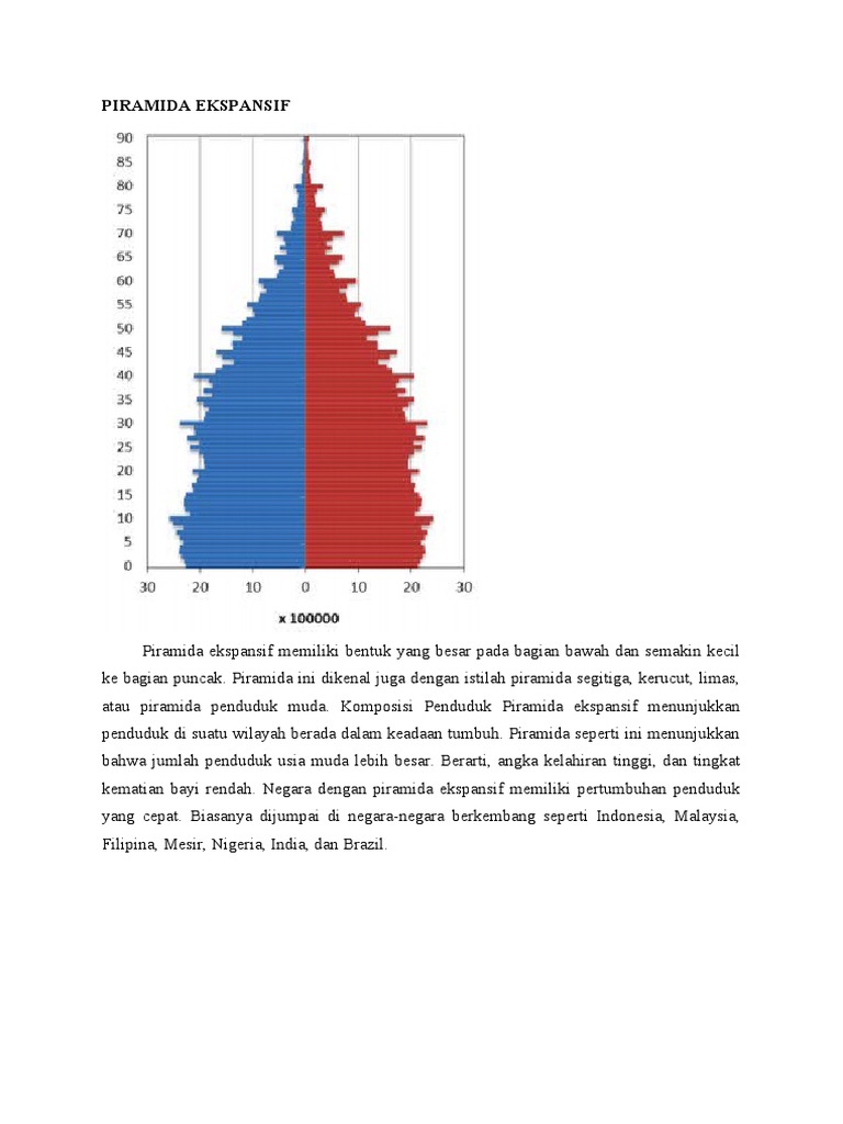 Piramida Ekspansif | PDF | Griya & Taman | Pengembangan Diri
