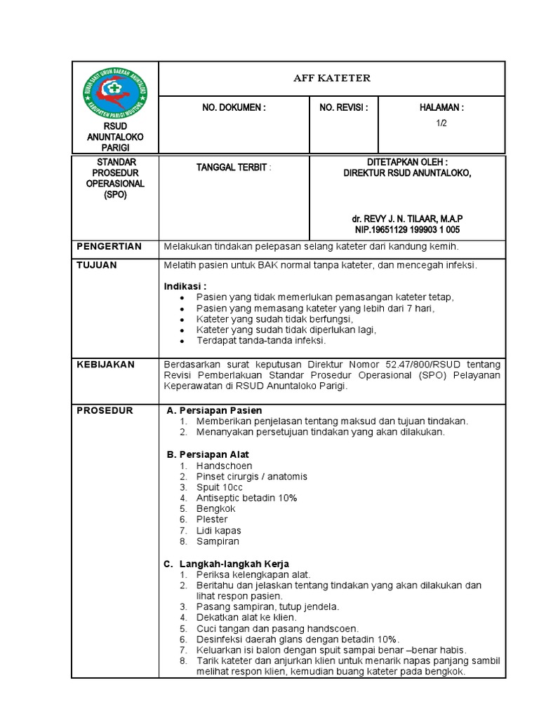 Spo Aff Kateter | PDF