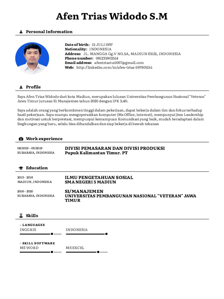 (FREE COPY) My CV | PDF