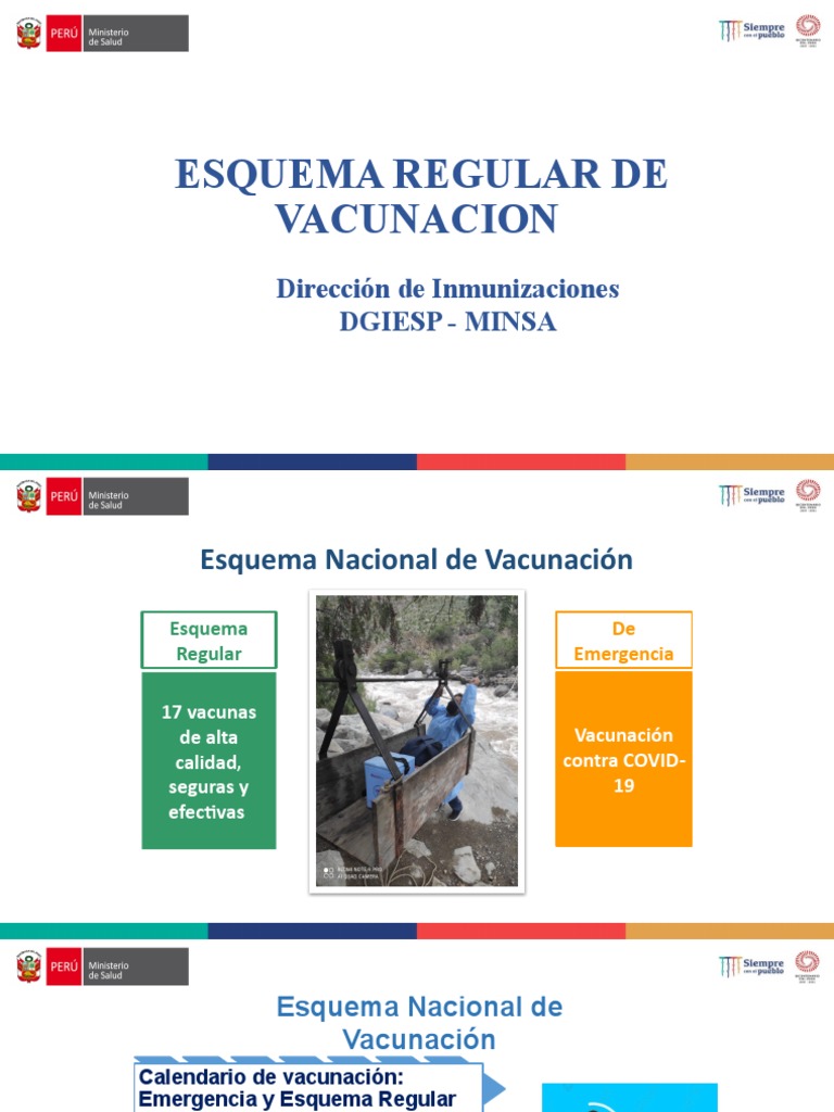 Esquema Regular | PDF | Enfermedades y trastornos | Cuidado de la salud