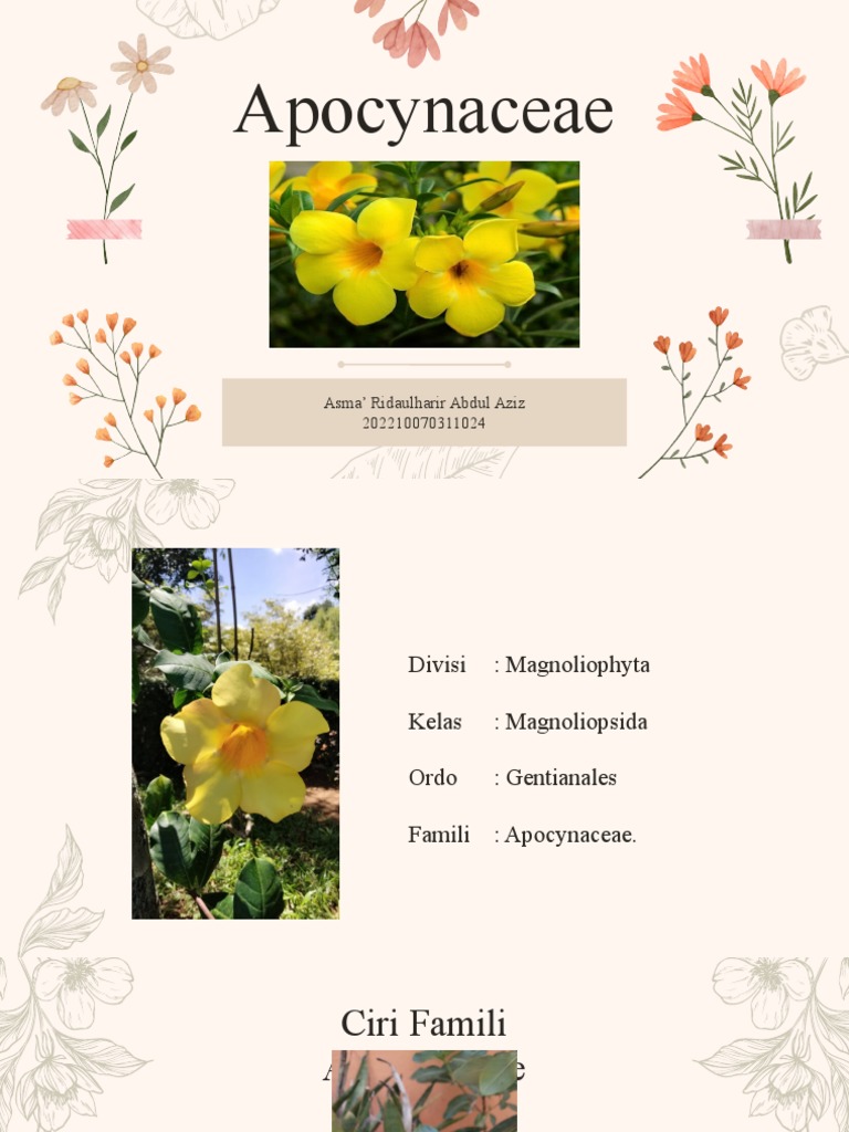 Revisi - 024 - Asma' Ridaulharir - Apocynaceae | PDF | Sains & Matematika