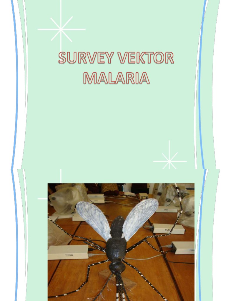 Bionomics and Surveillance of Mosquito Vectors for Malaria Control | PDF