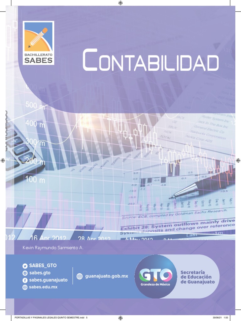 Contabilidad Libro | PDF