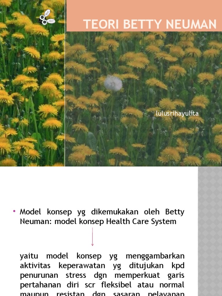 Model Sistem Kesehatan Neuman | PDF | Pengembangan Diri | Sains ...
