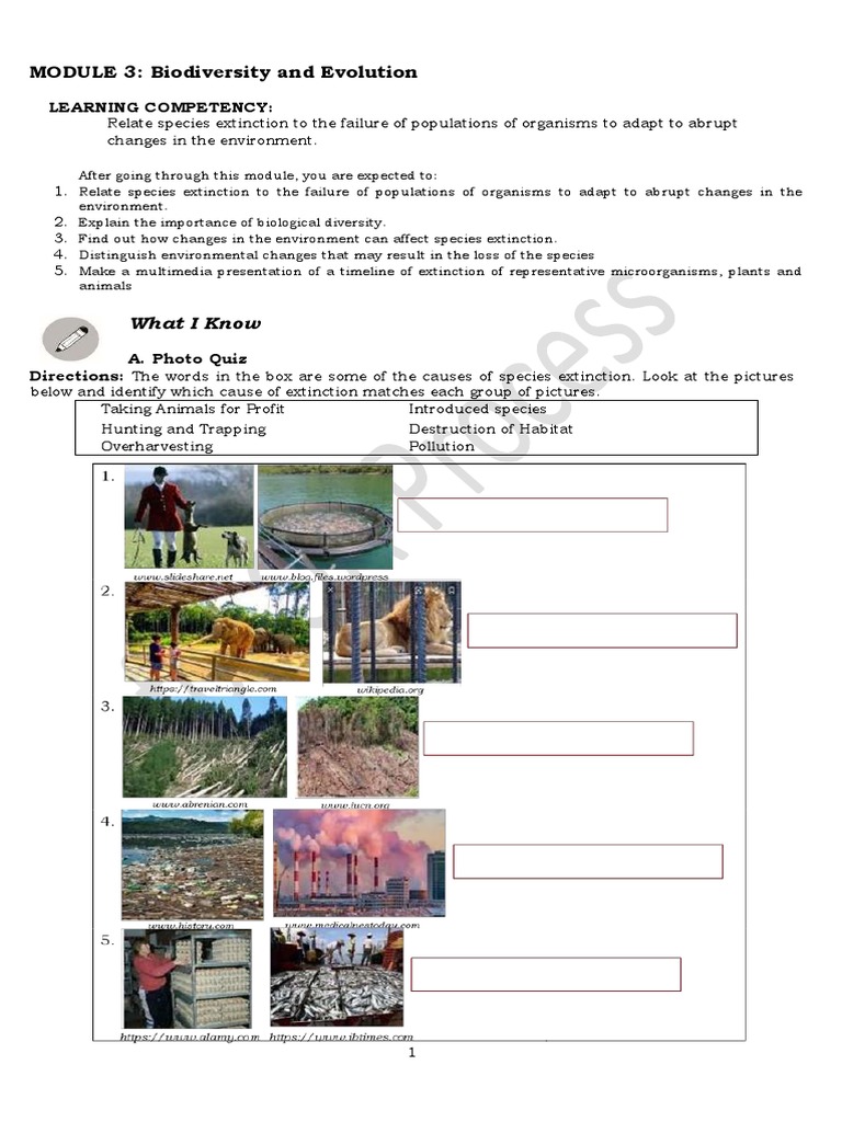 Week 8 - Biodiversity | PDF | Eutrophication | Habitat Destruction