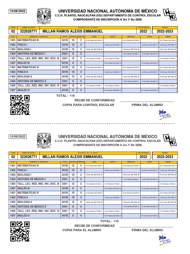 Tira De Materias Pdf