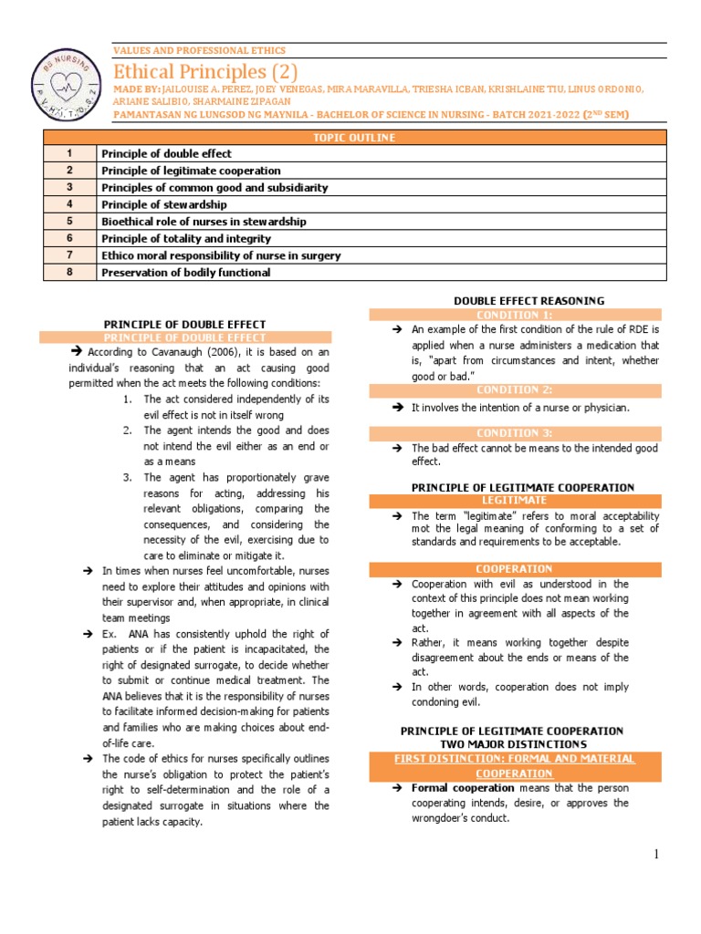Vpe - Ethical Principles 2 | Download Free PDF | Organ Donation | Bioethics