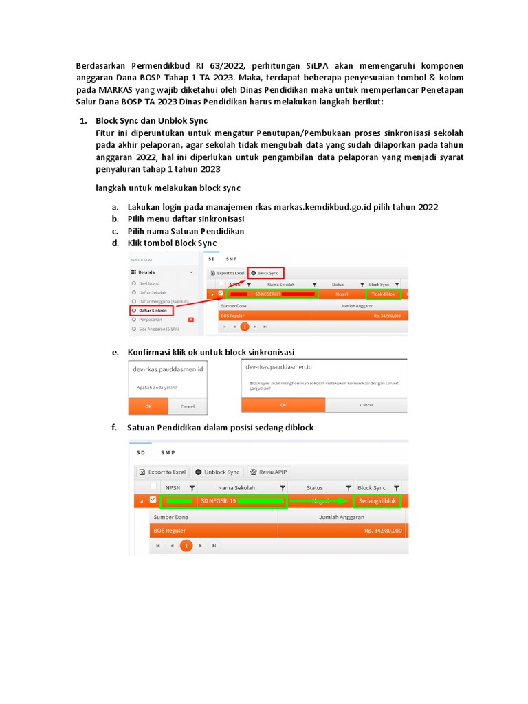 Panduan Block Sync Reviu APIP Dan Potensi SiLPA | PDF | Pengelolaan ...