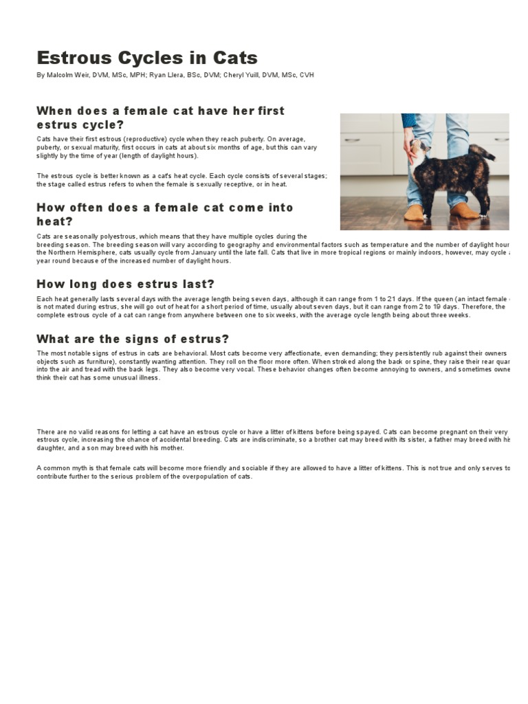 Weir, M., Llera, R., Yuill, C. (2022) - Estrous Cycles in Cats. VCA ...