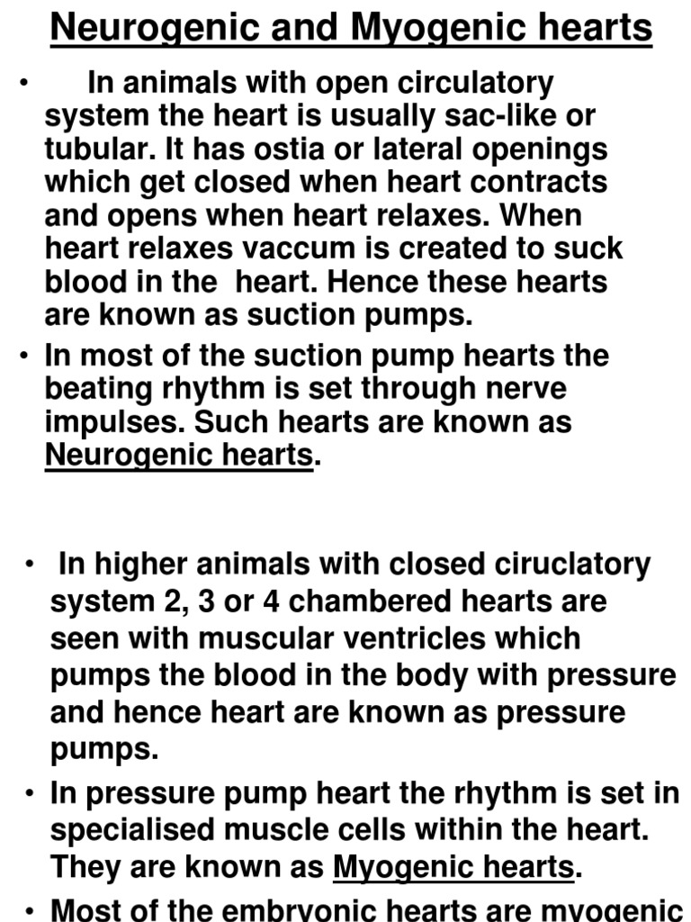 Neurogenic and Myogenic Hearts | PDF | Heart | Atrium (Heart)