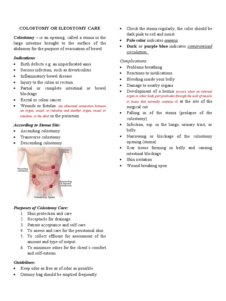 Colostomy Care | PDF | Gastrointestinal Tract | Clinical Medicine