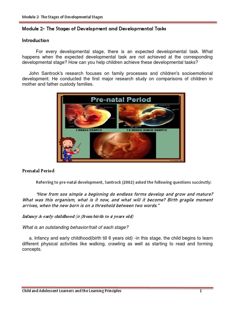 Module 2-The Stages of Development and Developmental Tasks | PDF ...