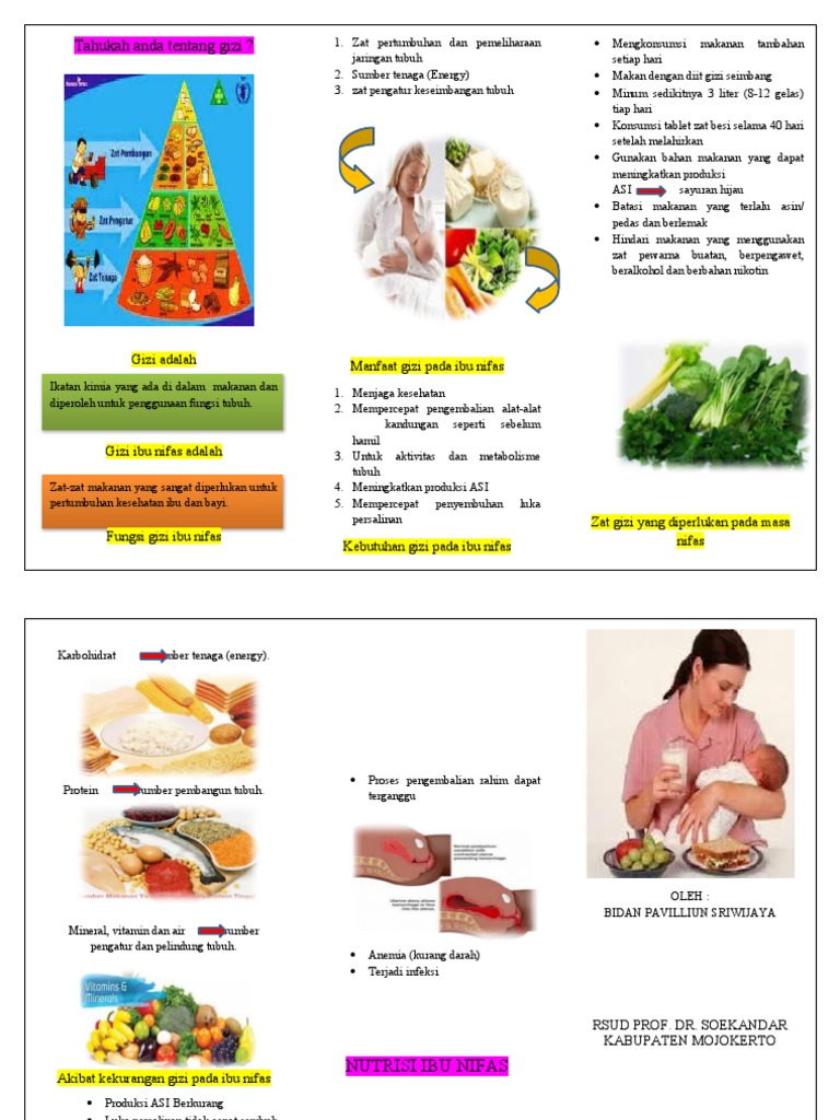Leaflet Nutrisi Ibu Nifas | PDF