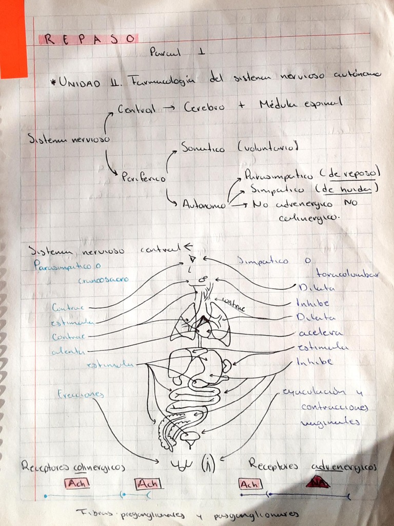 Farma 2 (Ovalle) | PDF