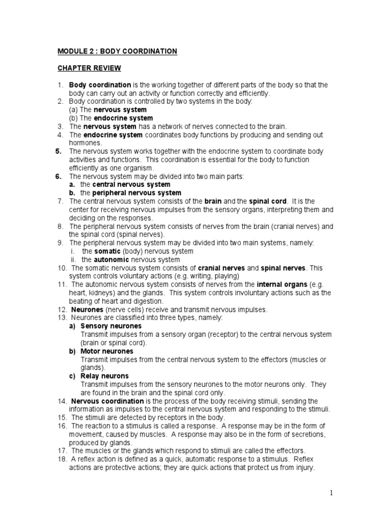 Body Coordination | PDF | Nervous System | Nerve