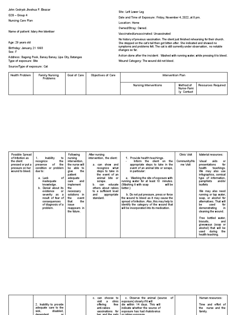 NursingCarePlan ELEAZAR G2BG4 | PDF | Nursing | Rabies