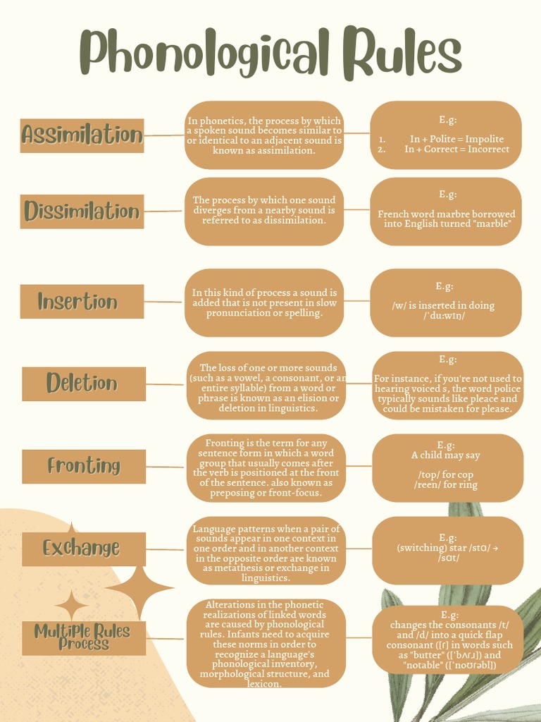 Phonological Rules | PDF | Cognition | Linguistics