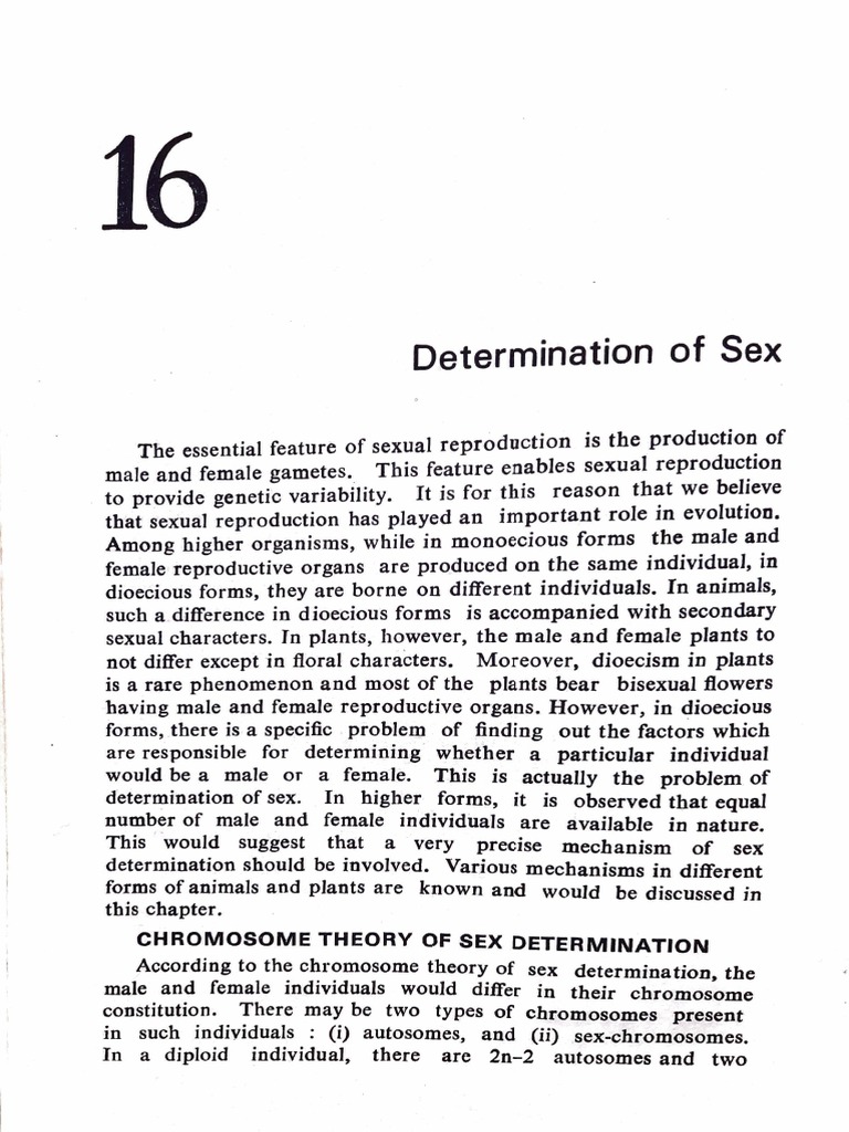 Sex Determination | PDF | Sex | Male