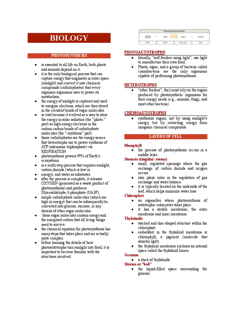 2nd Quarter Biology Reviewer | PDF | Cellular Respiration | Photosynthesis