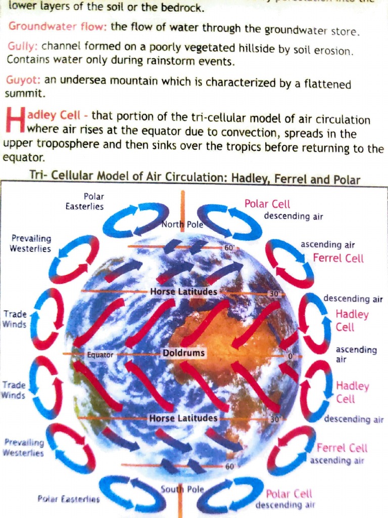 Hadley Cell Geography | PDF