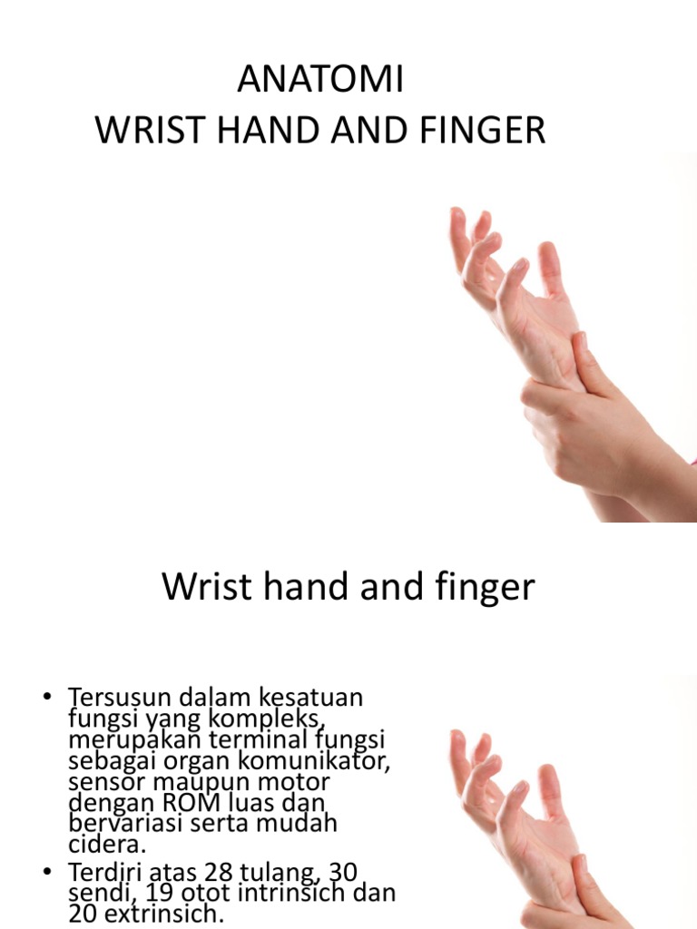 Anatomi Wrist and Hand | PDF