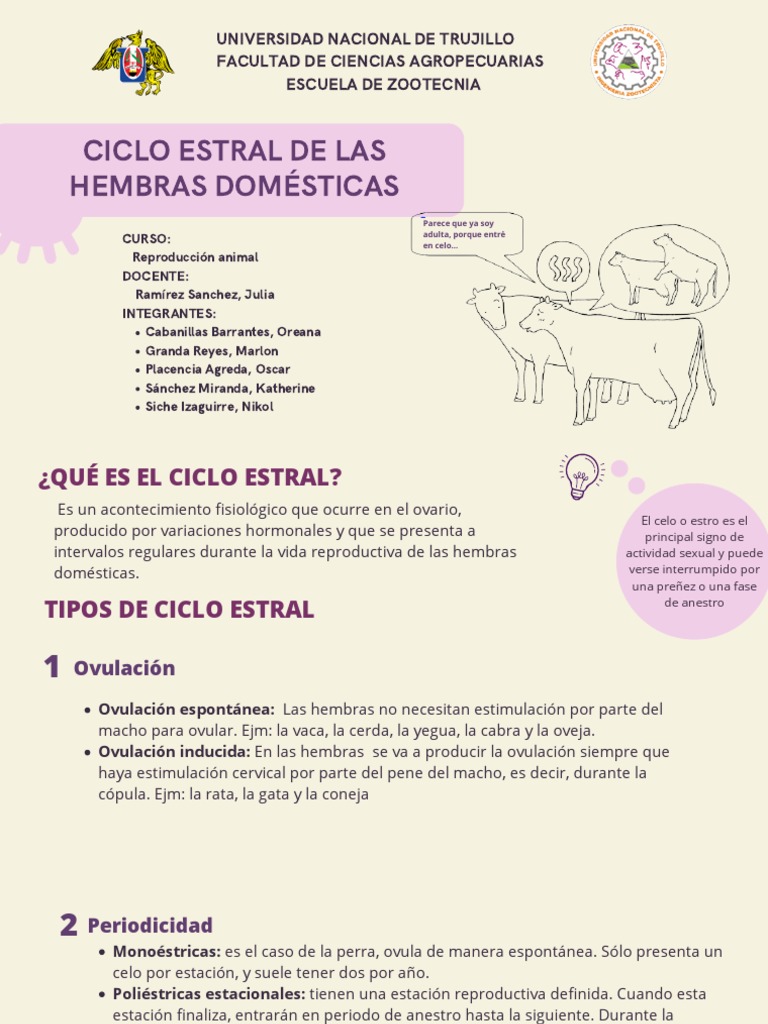 Ciclo Estral | PDF | Interacciones biológicas | Reproducción sexual