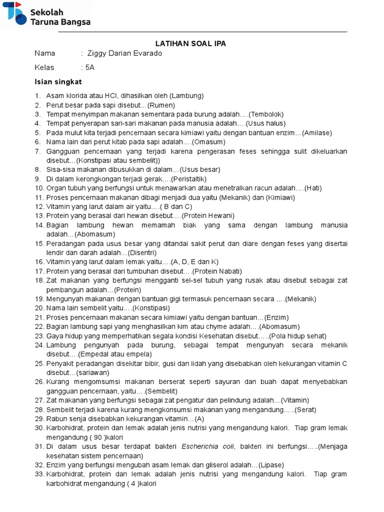 Tembolok dalam Pencernaan Manusia | PDF