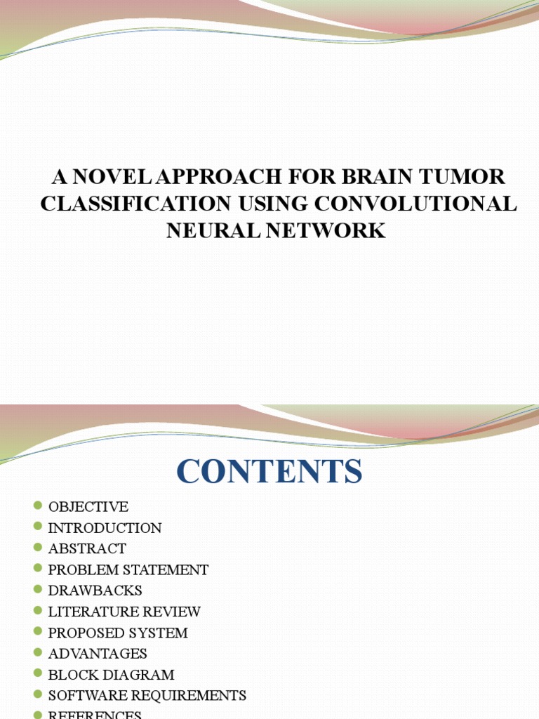 Brain | PDF | Image Segmentation | Cluster Analysis