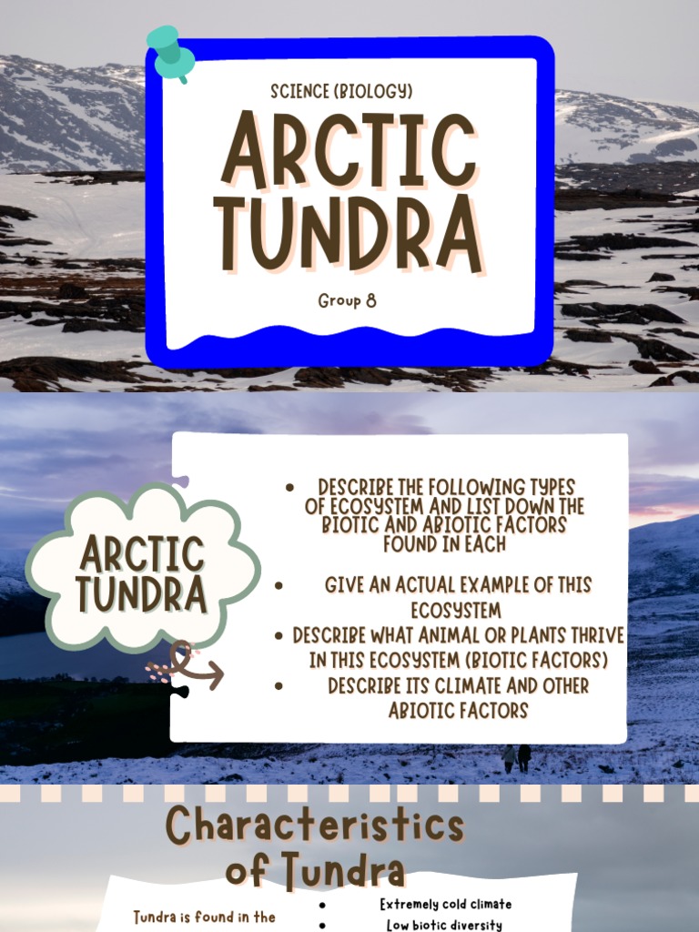 Arctic Tundra | PDF