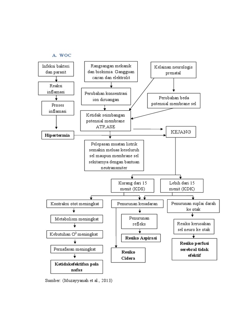 A. Woc: Hipertermia | PDF