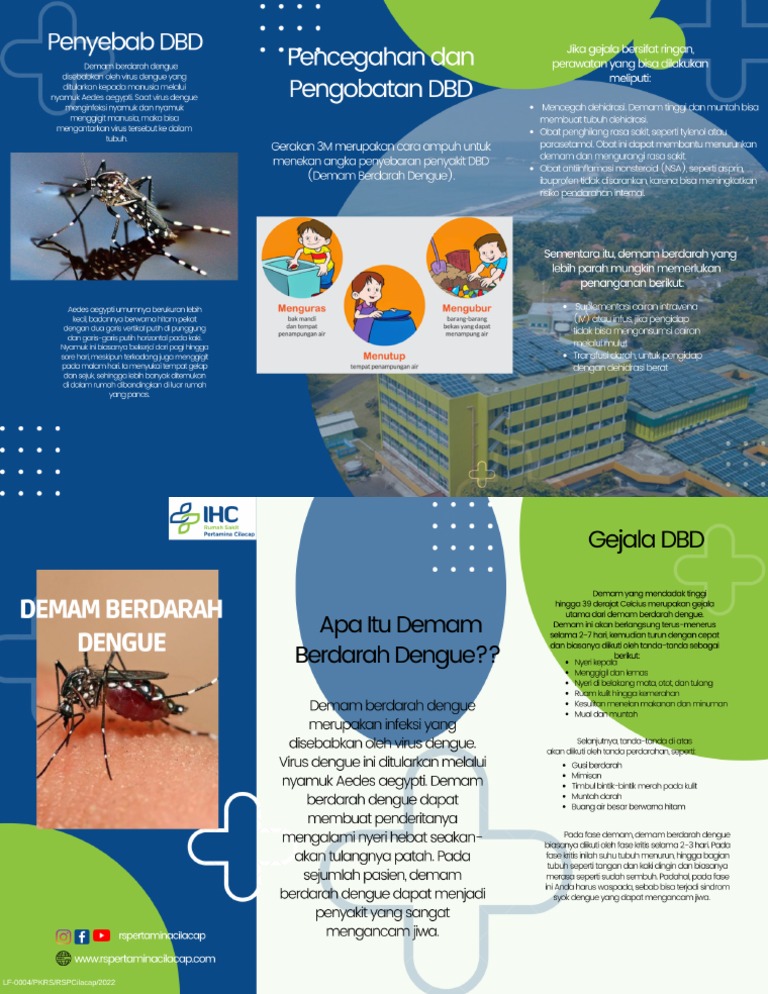 Leaflet DBD | PDF