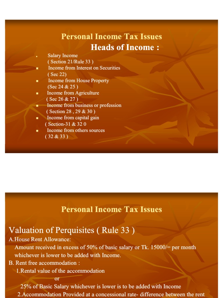 Personal Income Tax Issues | PDF