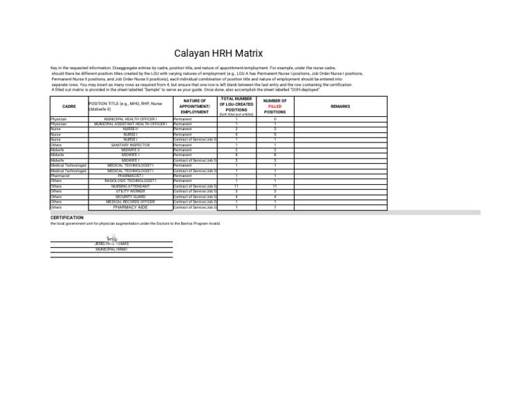 LGU CALAYAN HRH Matrix | PDF | Nursing | Pharmacist