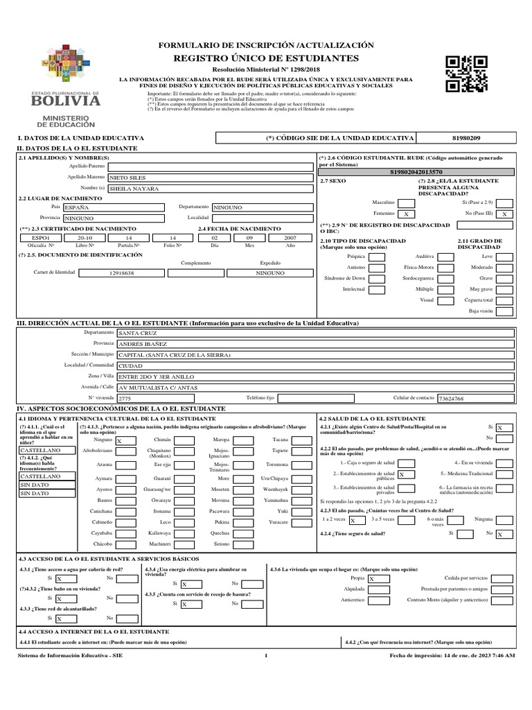 Reporte Formulario Rude | PDF