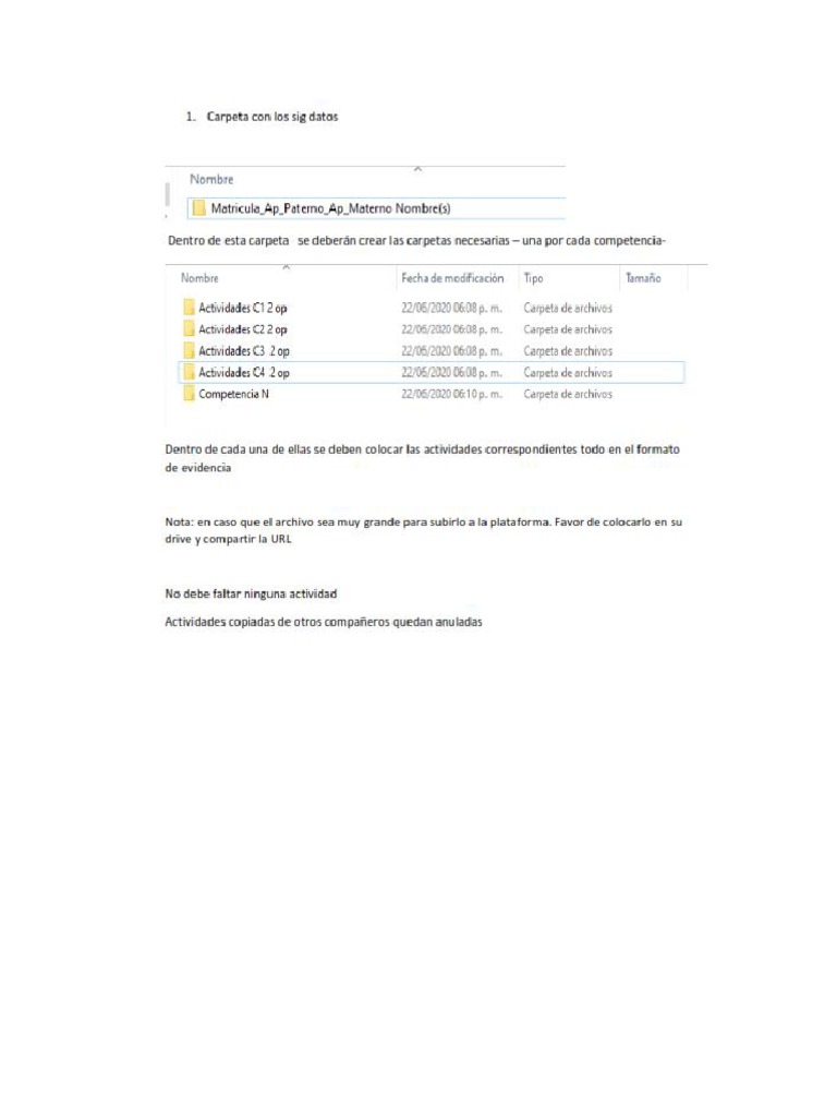 Actividad 2op Taller BD | PDF | Bases de datos | SQL