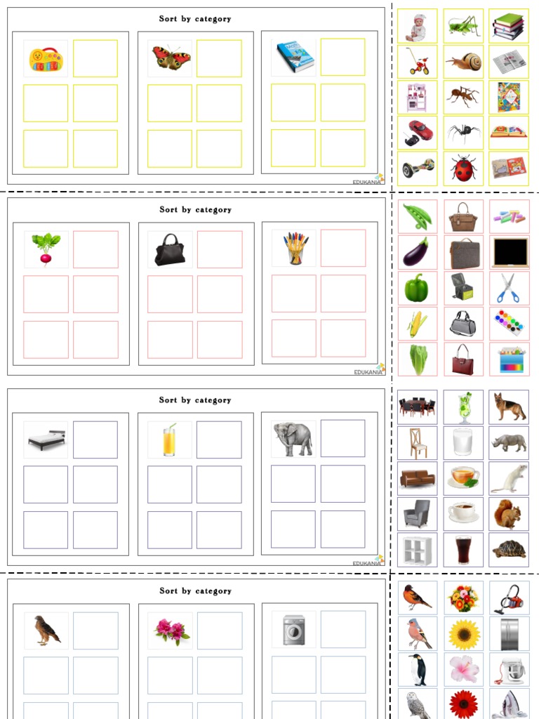 Sorting Items By Class Advanced Level 3 Task Cards Sort 15 Objects Into 4835