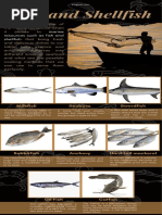 Alimasag and Alimango: Crab Comparisons | PDF | Bivalvia | Mollusca