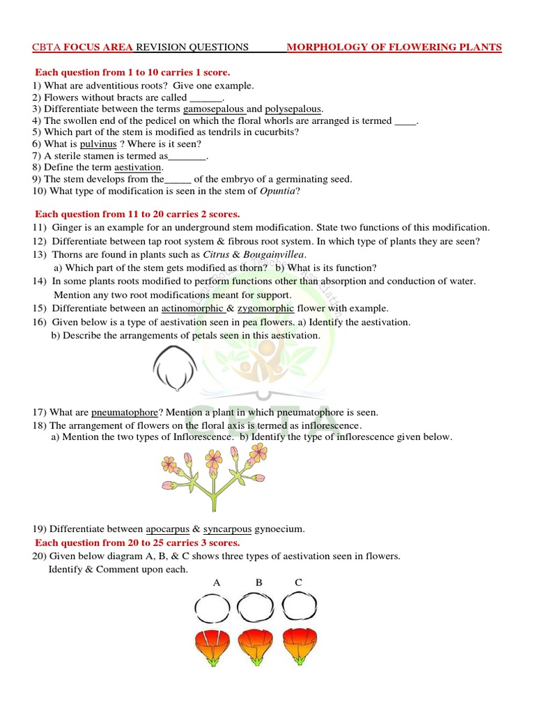 Kerala 1 Botany Focus Area Question Bank Morphology Of Flowering