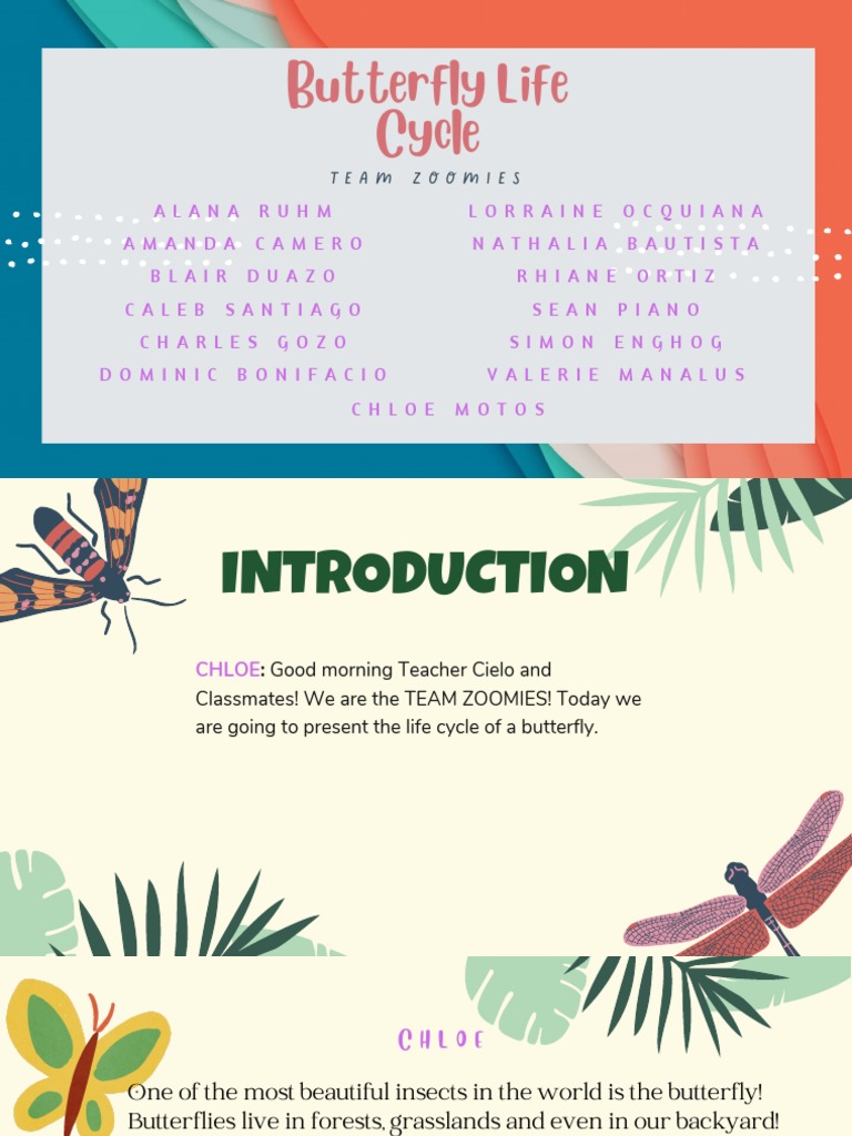 Butterfly Life Cycle With Script | PDF | Pupa | Butterfly