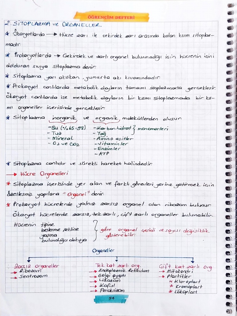 Ev Odevi 1672296141 | PDF