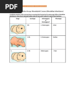 Video Recap of Osmosis by Amoeba Sisters Answer Set | PDF | Osmosis ...