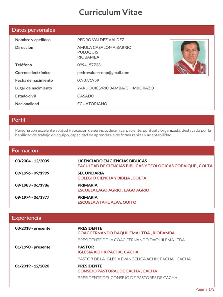 Curriculum Vitae de Pedro Valdez | PDF | Cocina, comidas y vino