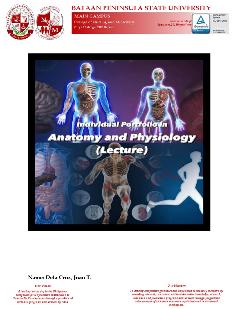 Portfolio-FOR-ANA | PDF | Skeletal Muscle | Endocrine System