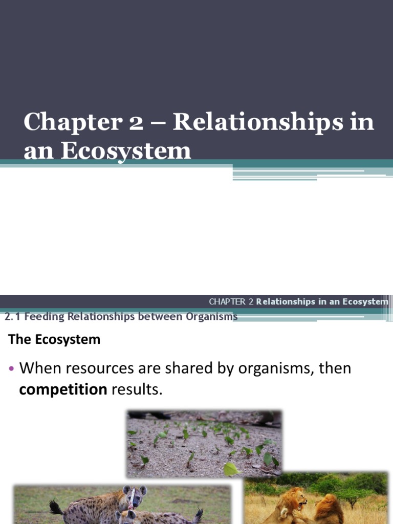 Module 4 - Relationships in An Ecosystem | PDF | Food Web | Predation