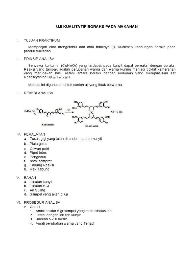 Modul Uji Kualitatif Boraks Dengan Kunyit | PDF