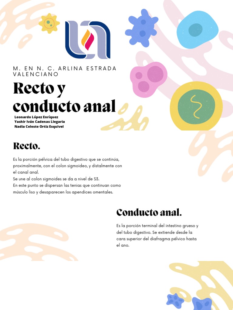 Recto y Conducto Anal | PDF | Recto | Intestino grueso