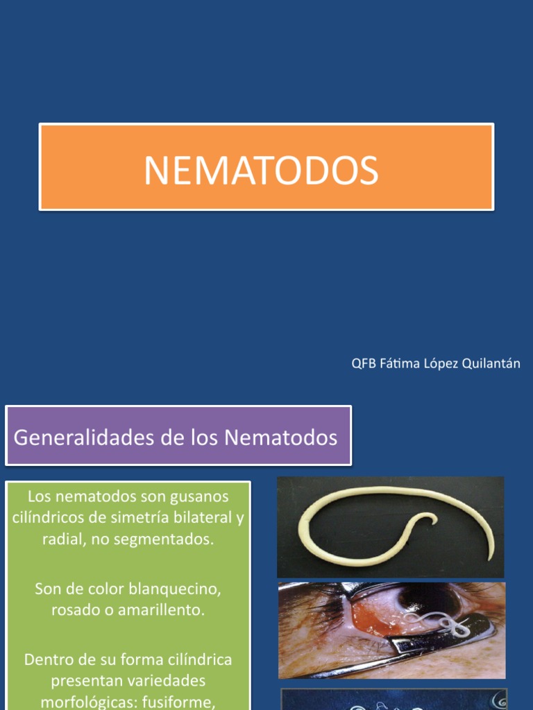 NEMÁTODOS | PDF | Especialidades Medicas | Medicina CLINICA