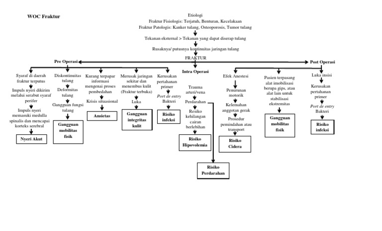 Luh Nita Noviantari - WOC Fracture | PDF